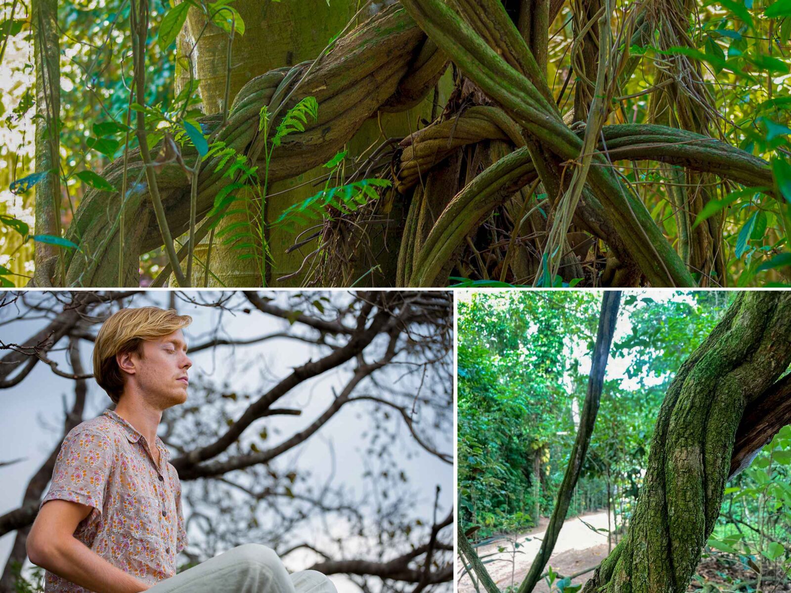 The Experience of Participating in Ayahuasca in Peru Amazon