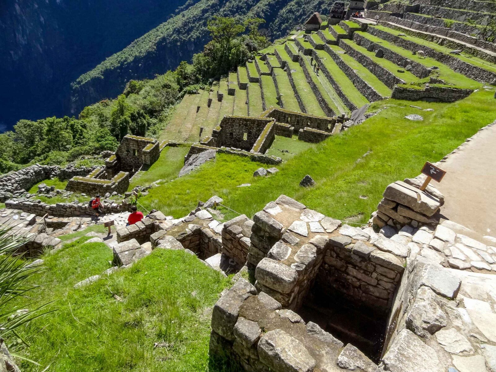 Machu Picchu Terrace Engineering: Inca Ingenuity Unveiled 1