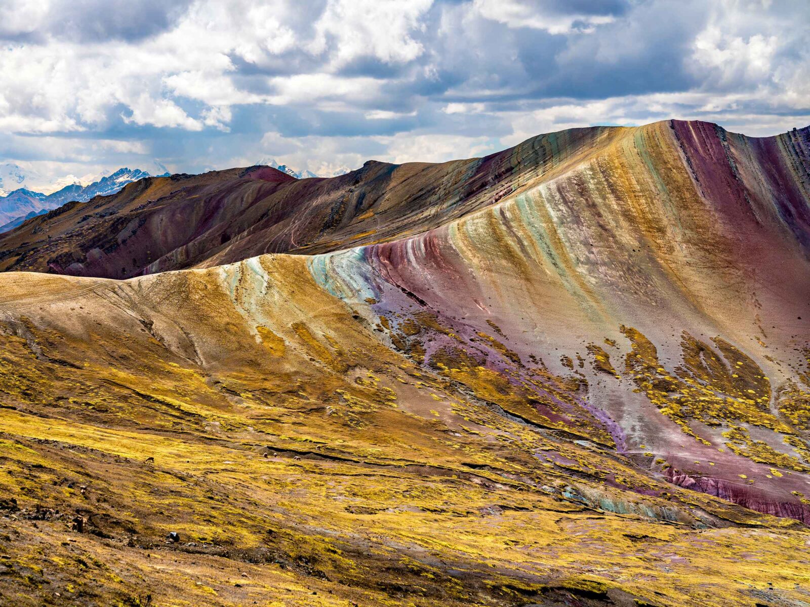 Palccoyo Rainbow Mountain | The Ultimate Guide for Travelers